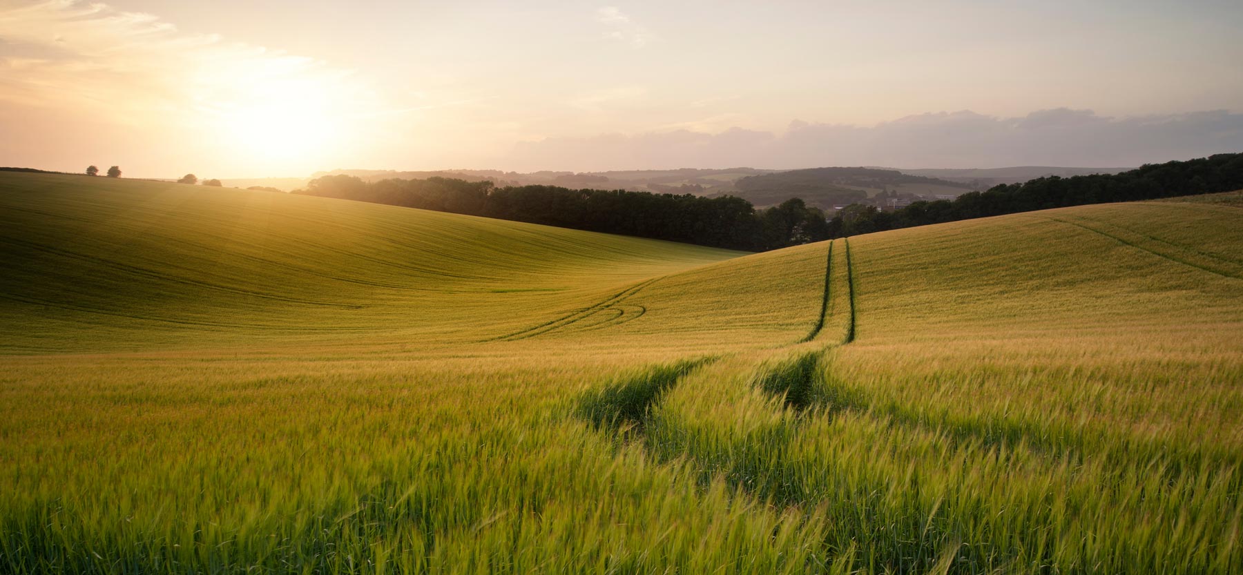 Home - Collaborative Insurance Solutions - Collaborative Insurance ...